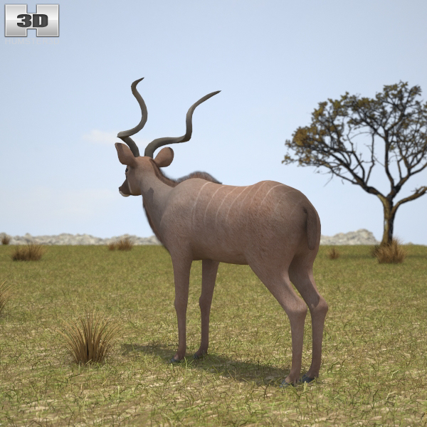 3d greater kudu