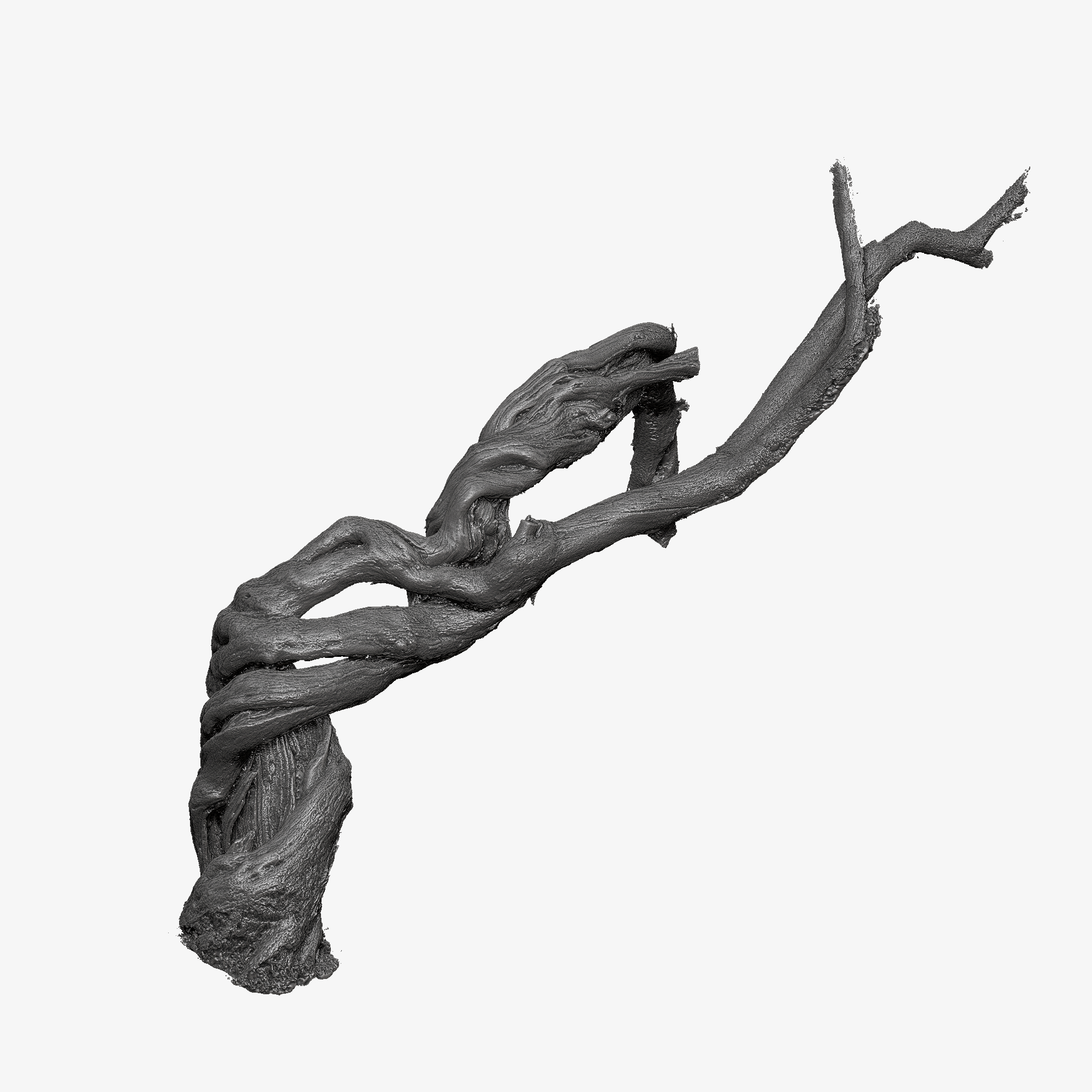 twisted cracked tree trunk 3d model