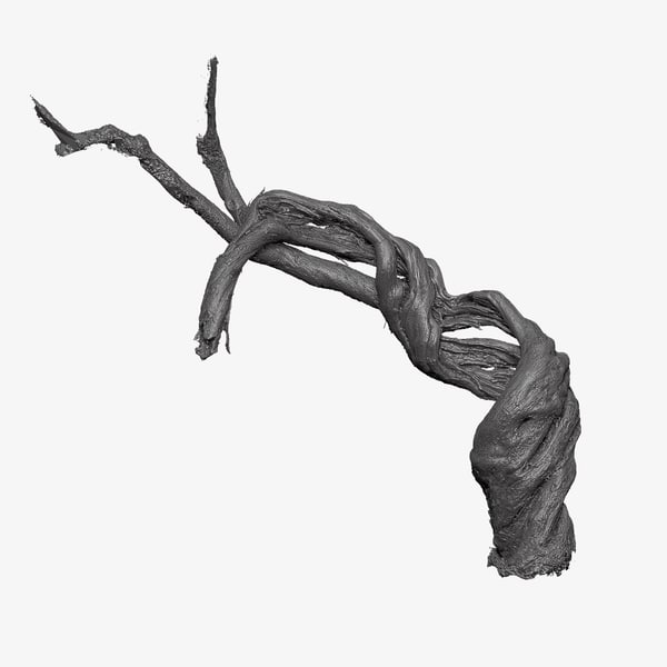 twisted cracked tree trunk 3d model