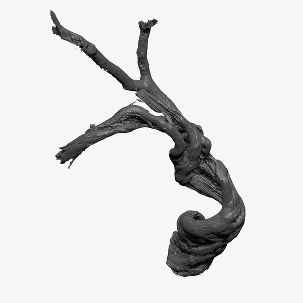 twisted cracked tree trunk 3d model