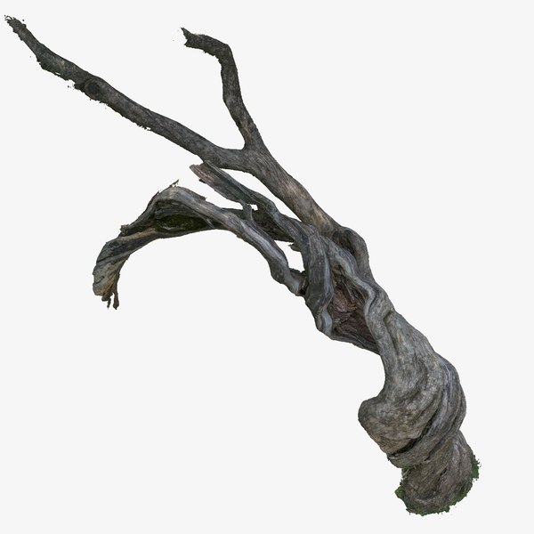 crooked mossy tree 3d model