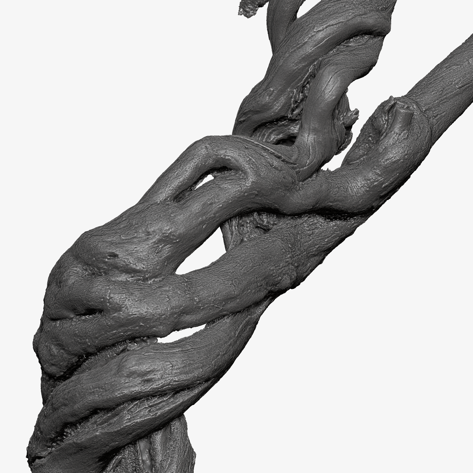 twisted cracked tree trunk 3d model