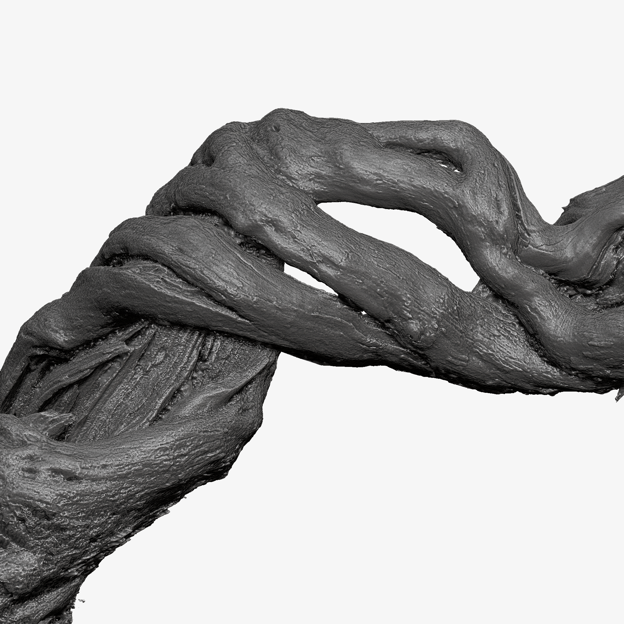 twisted cracked tree trunk 3d model