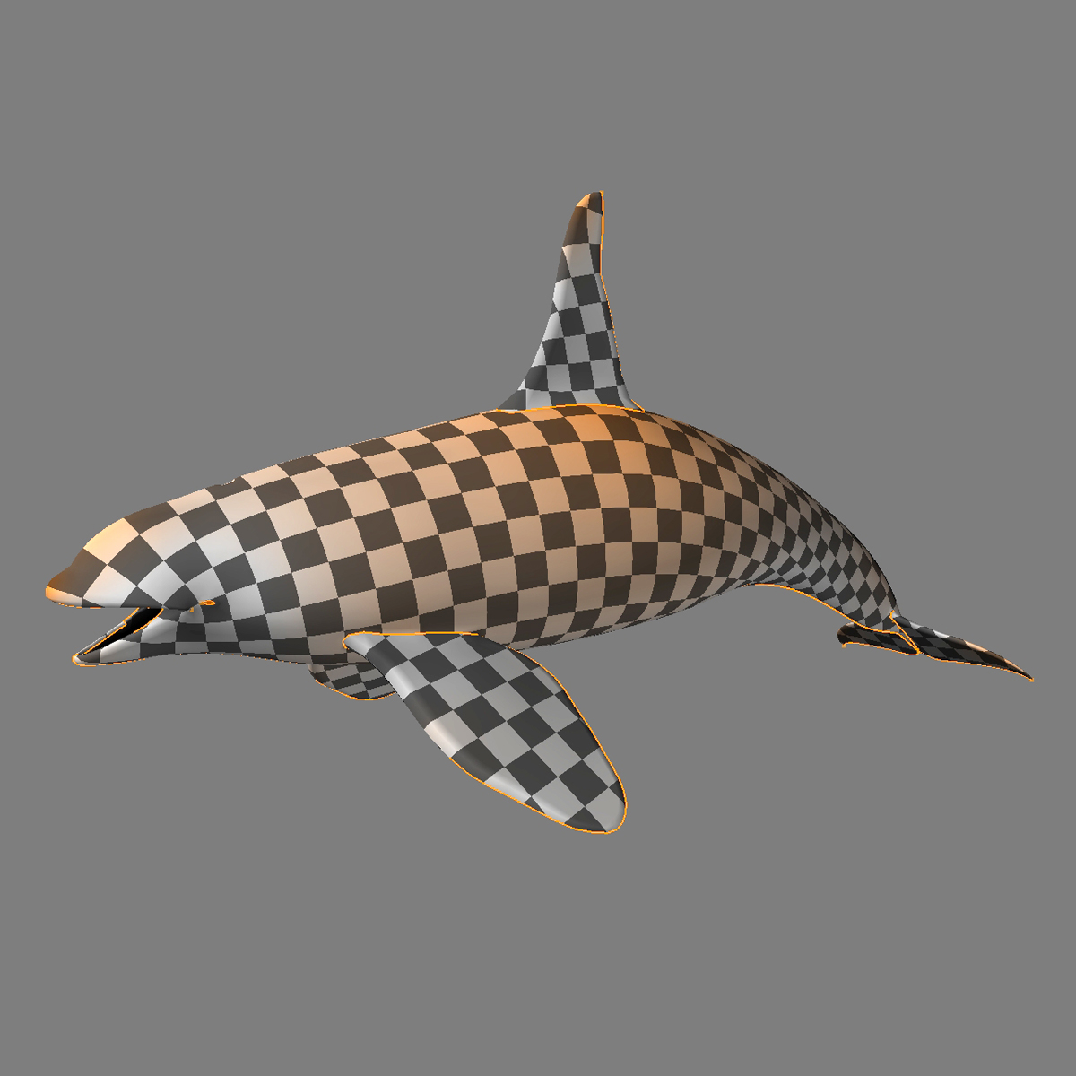 killer whale 3d model