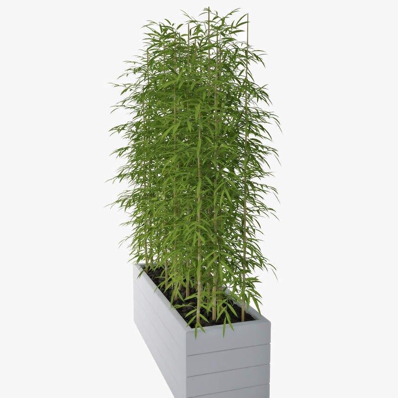 modelo 3d Bambú 03 - TurboSquid 1136302