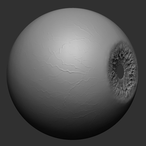 3d realistic eye model