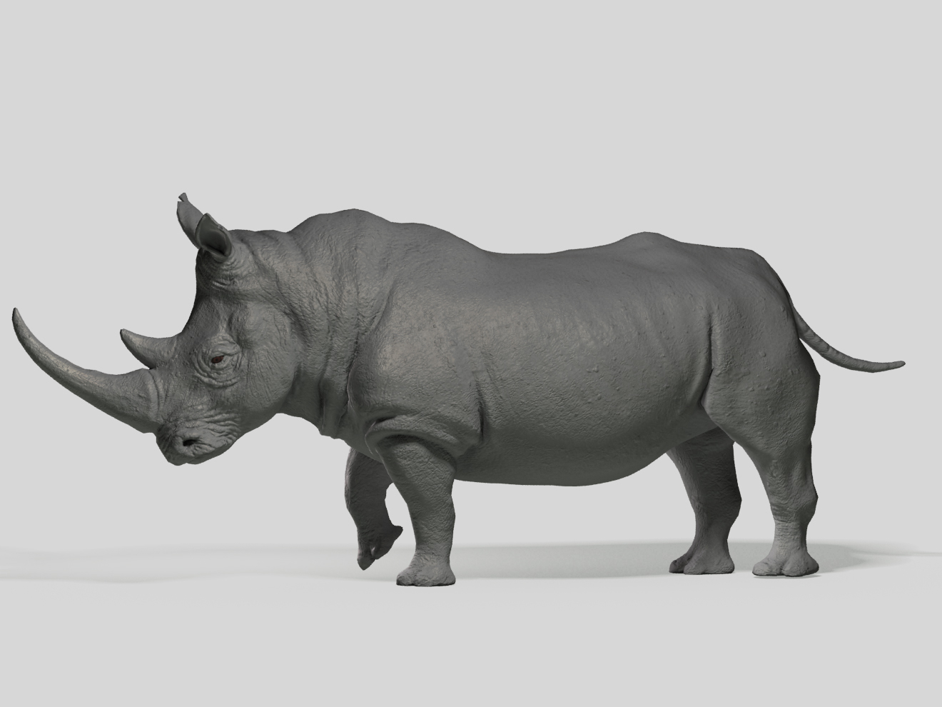 3d rigged rhino