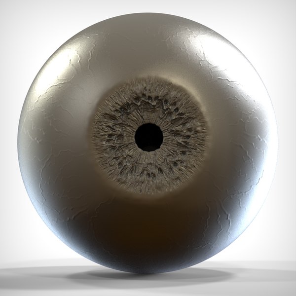 3d eye human iris model