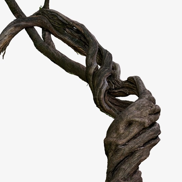 twisted cracked tree trunk 3d model