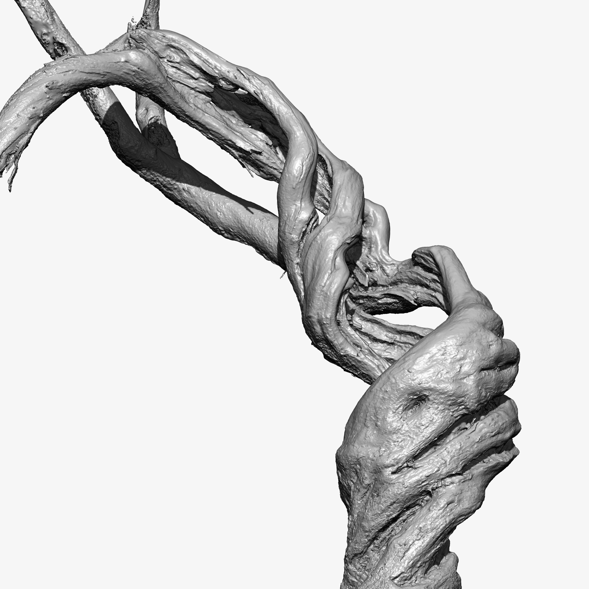 twisted cracked tree trunk 3d model