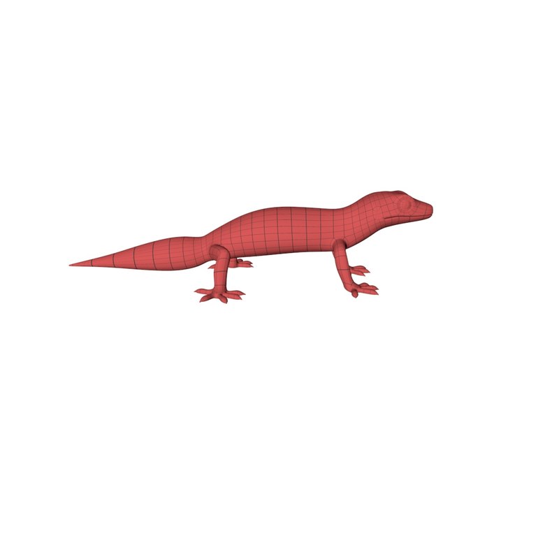 base mesh gecko c4d
