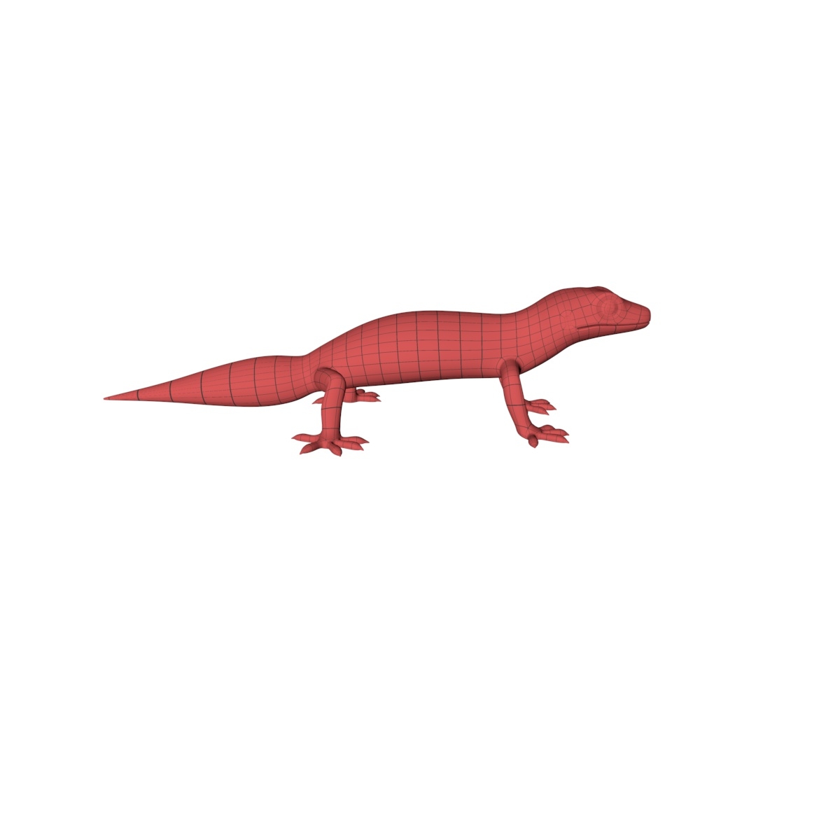 base mesh gecko c4d