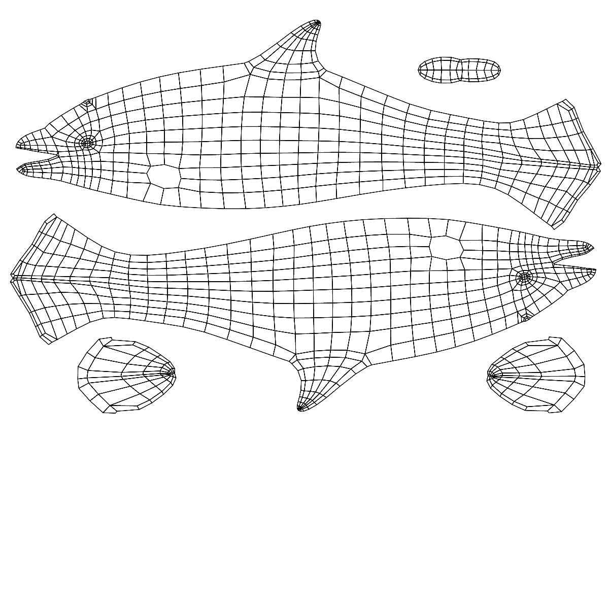 base mesh dolphin 3d model