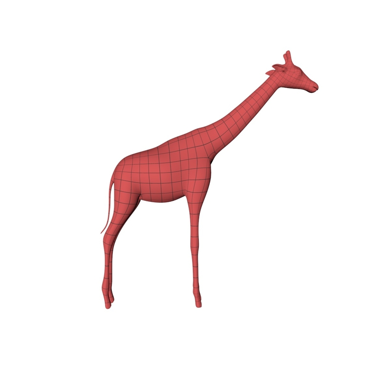 3d base mesh giraffe model