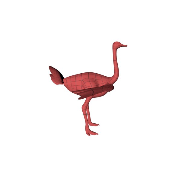 base mesh ostrich 3d model
