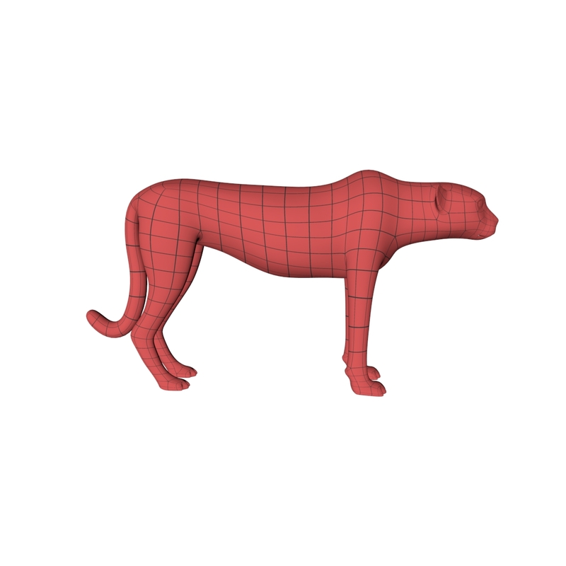 3d model african animals base mesh