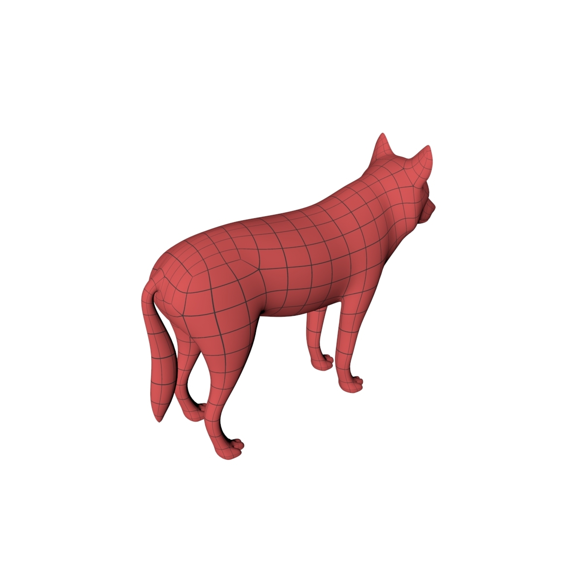 base mesh wolf c4d