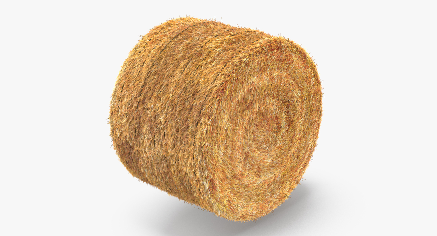 3d hay bale model