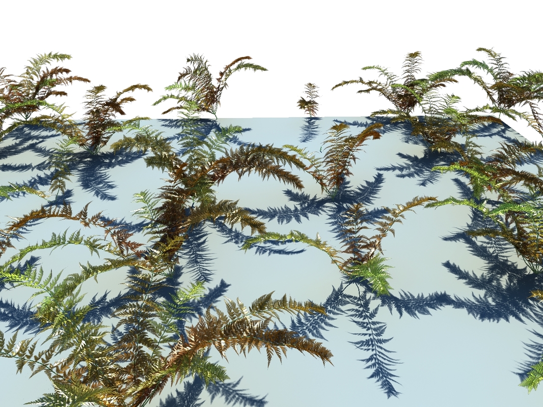 3d model fern ecosystems pack 24