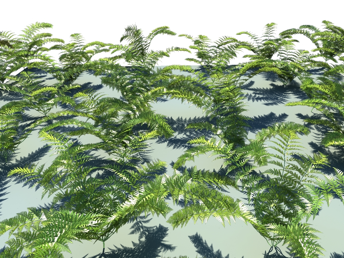 3d model fern ecosystems pack 24