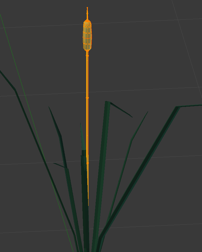 3d reed model