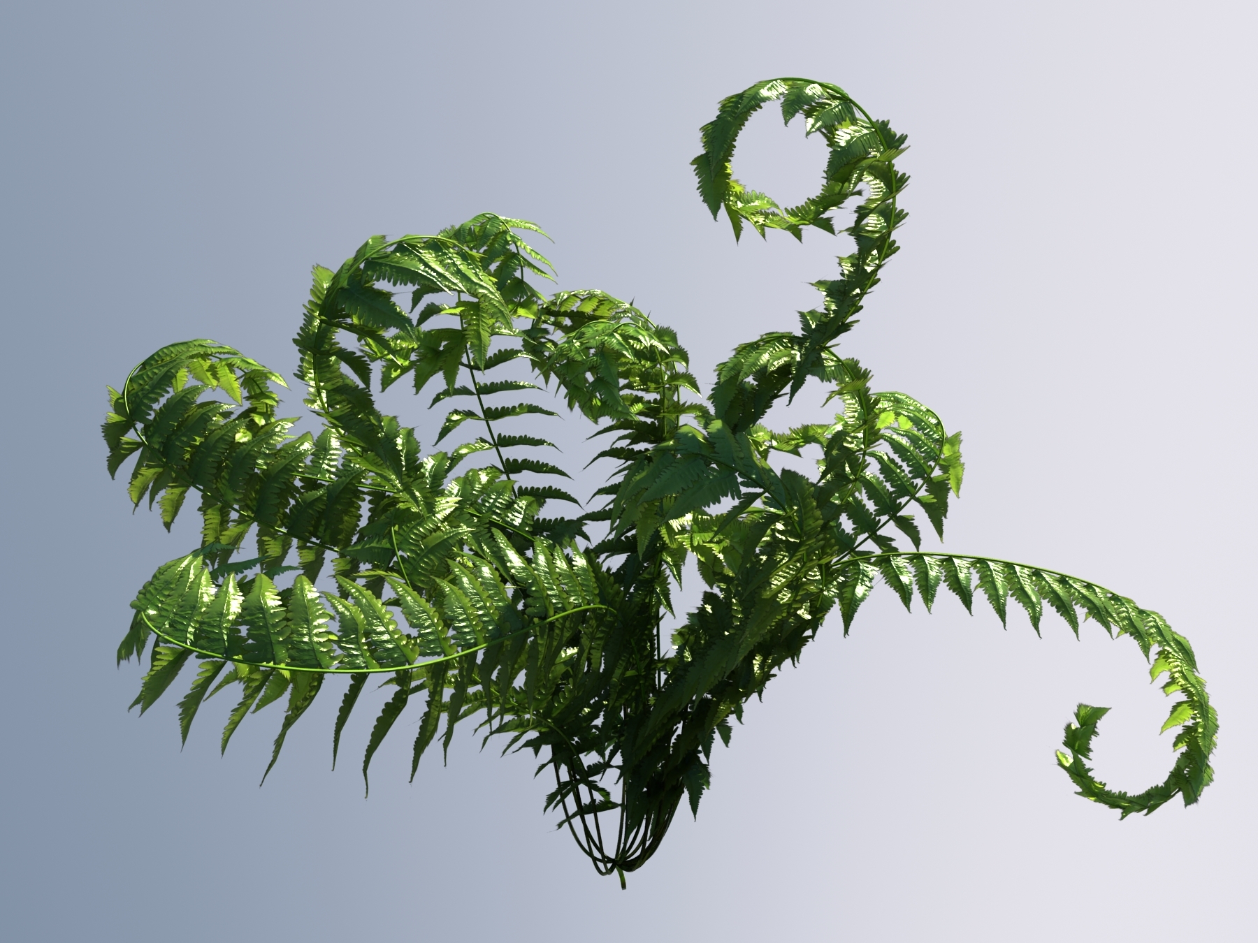 3d model fern ecosystems pack 24