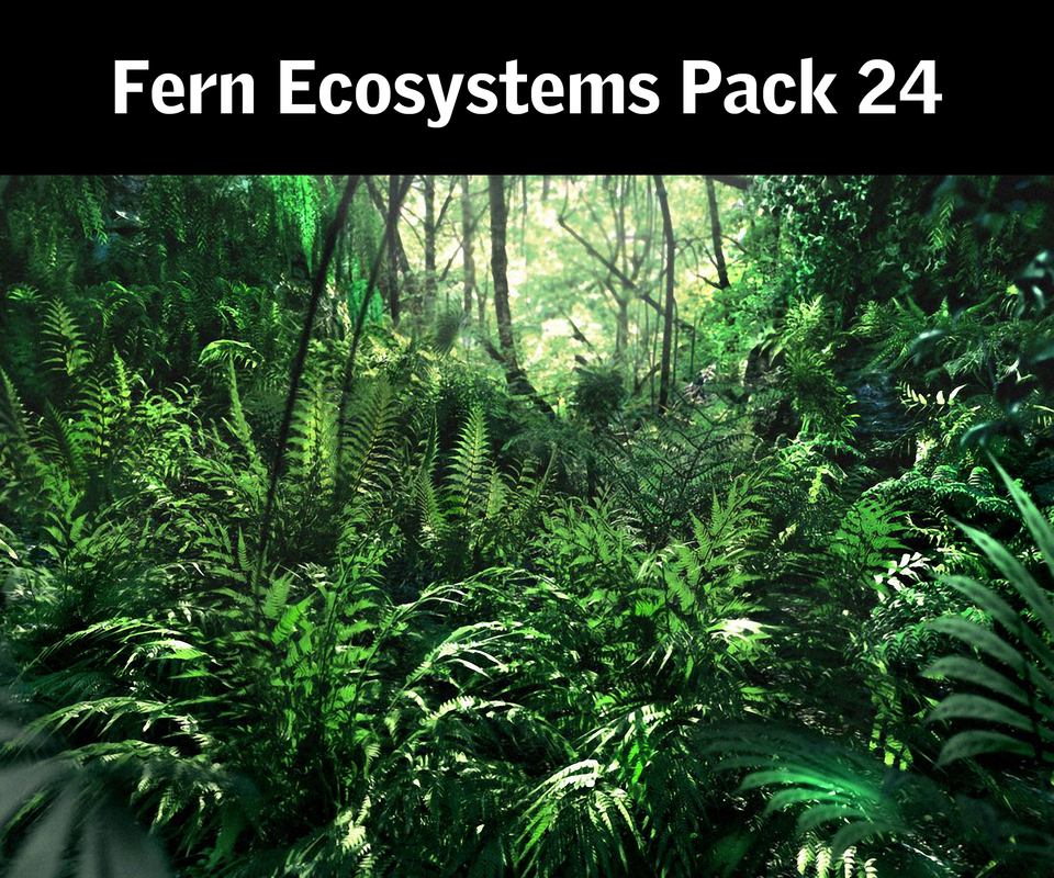 3d model fern ecosystems pack 24