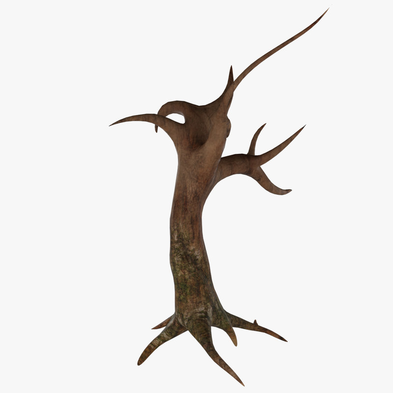 3d dry tree model