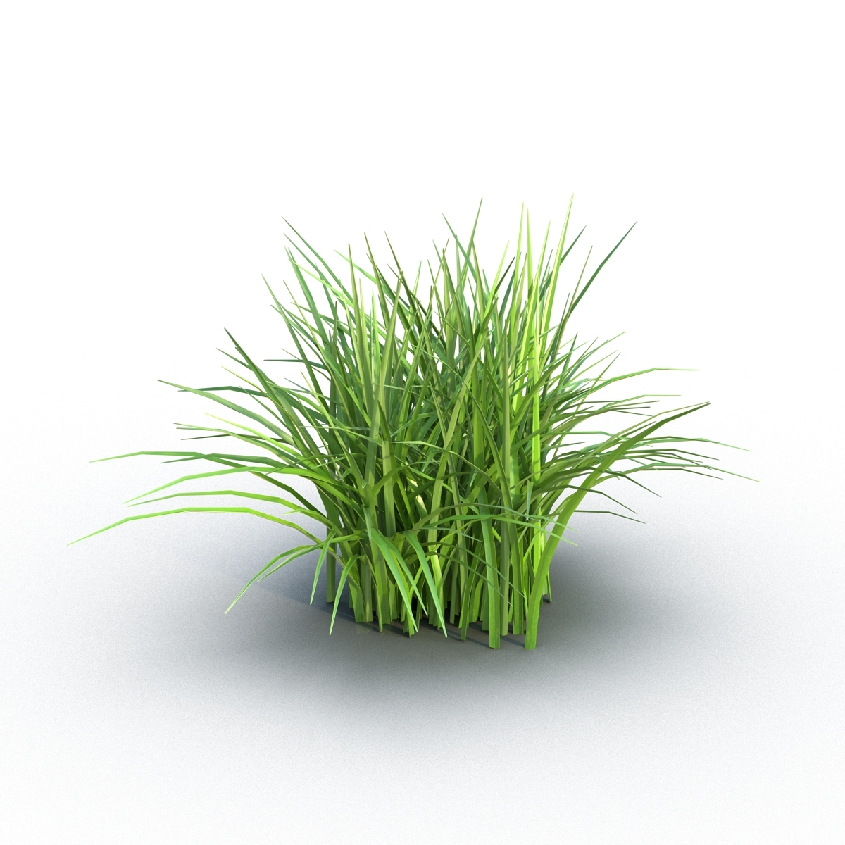 grass set field 3d model