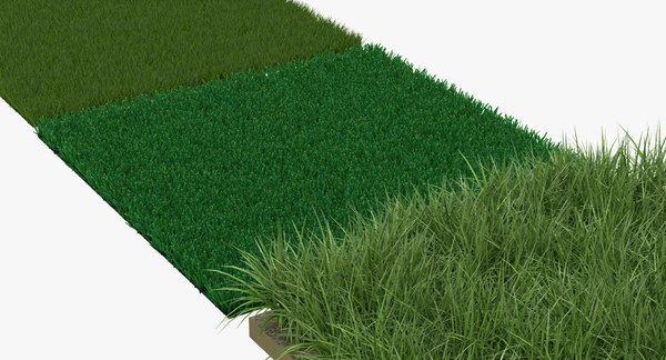 3d grass fields 2 model
