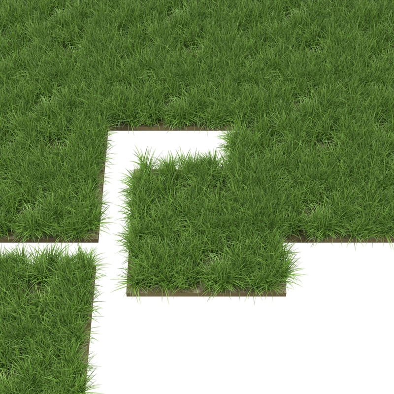 3d grass fields 2 model