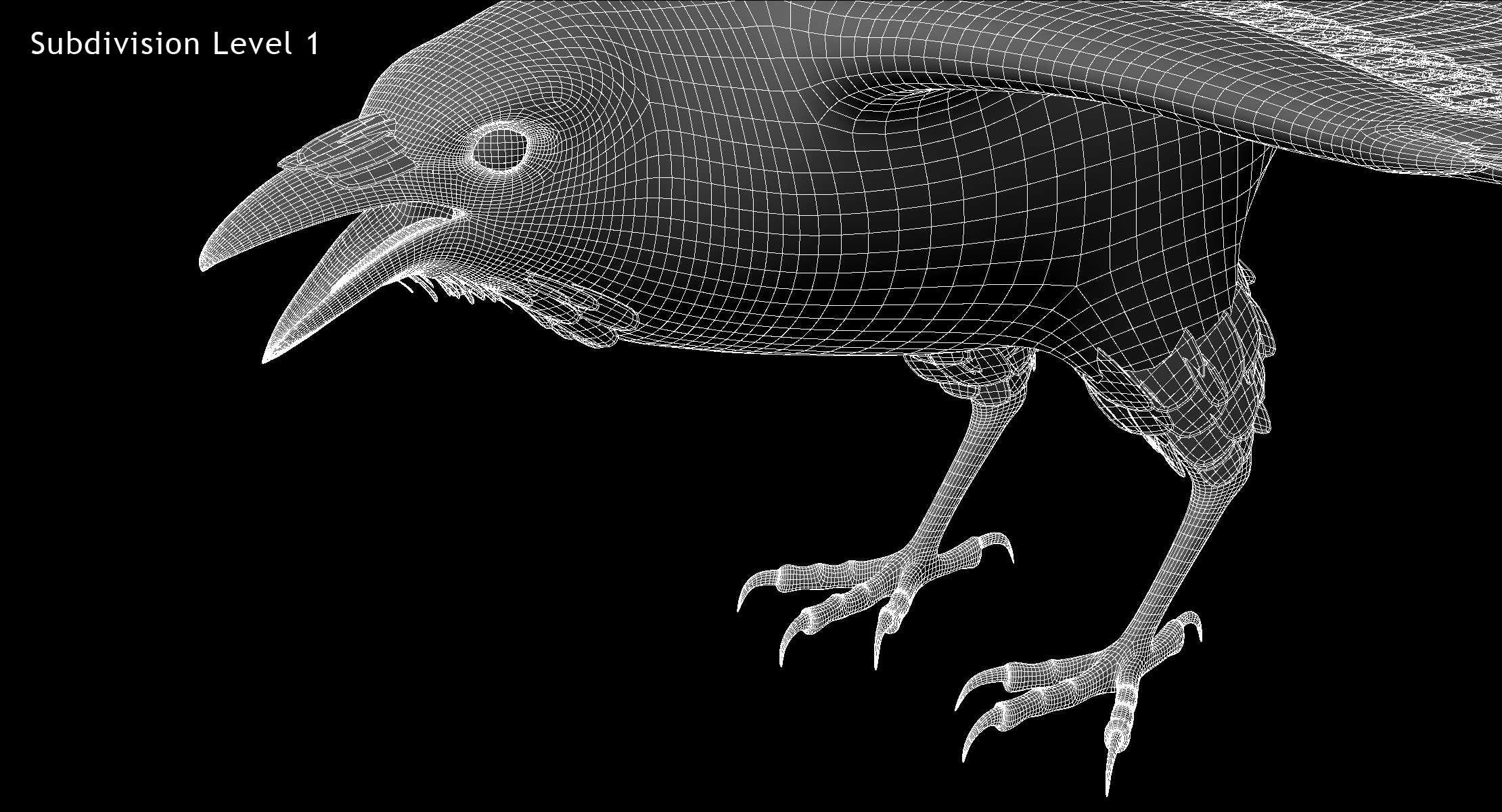 obj black-billed magpie animation