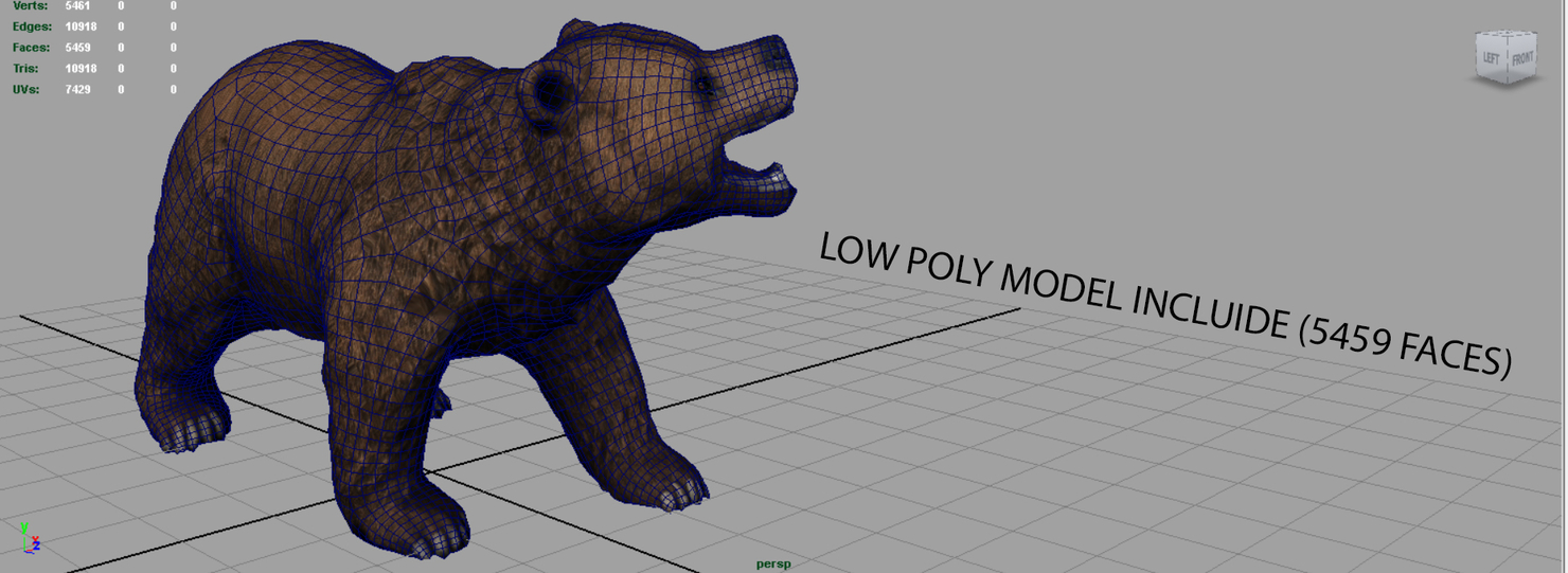 3d bear model