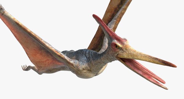 pteranodon rigged obj