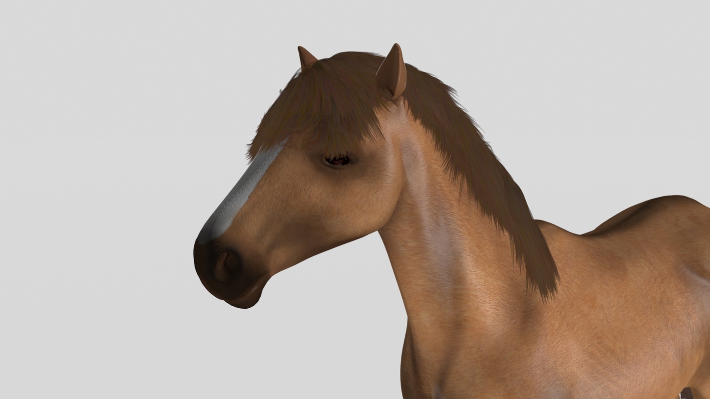 3d model horse