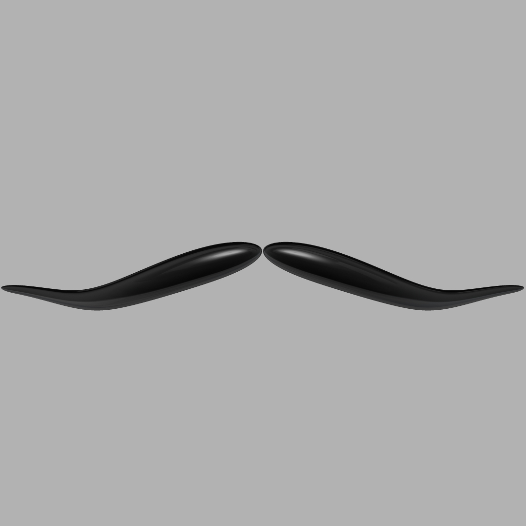 3d moustache colection