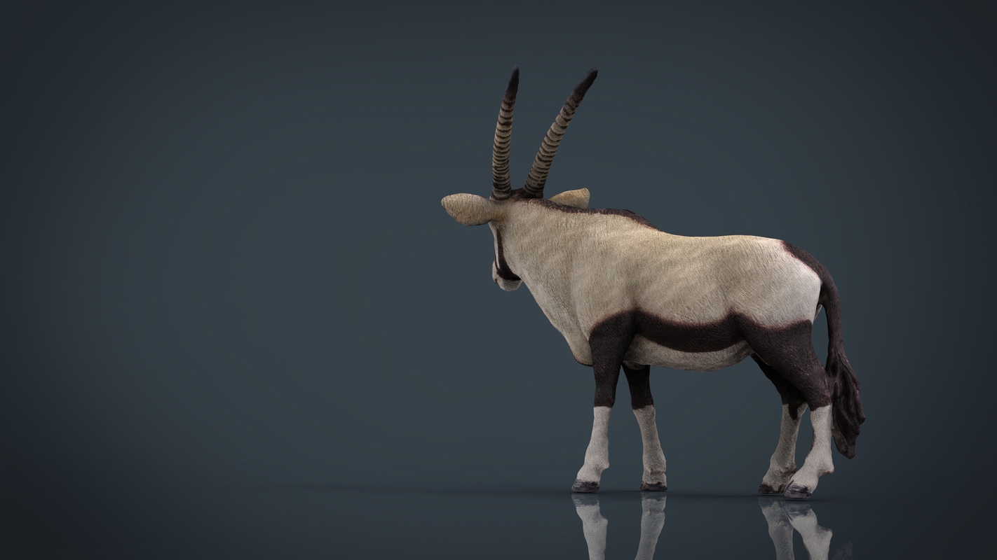 oryx print 3d model