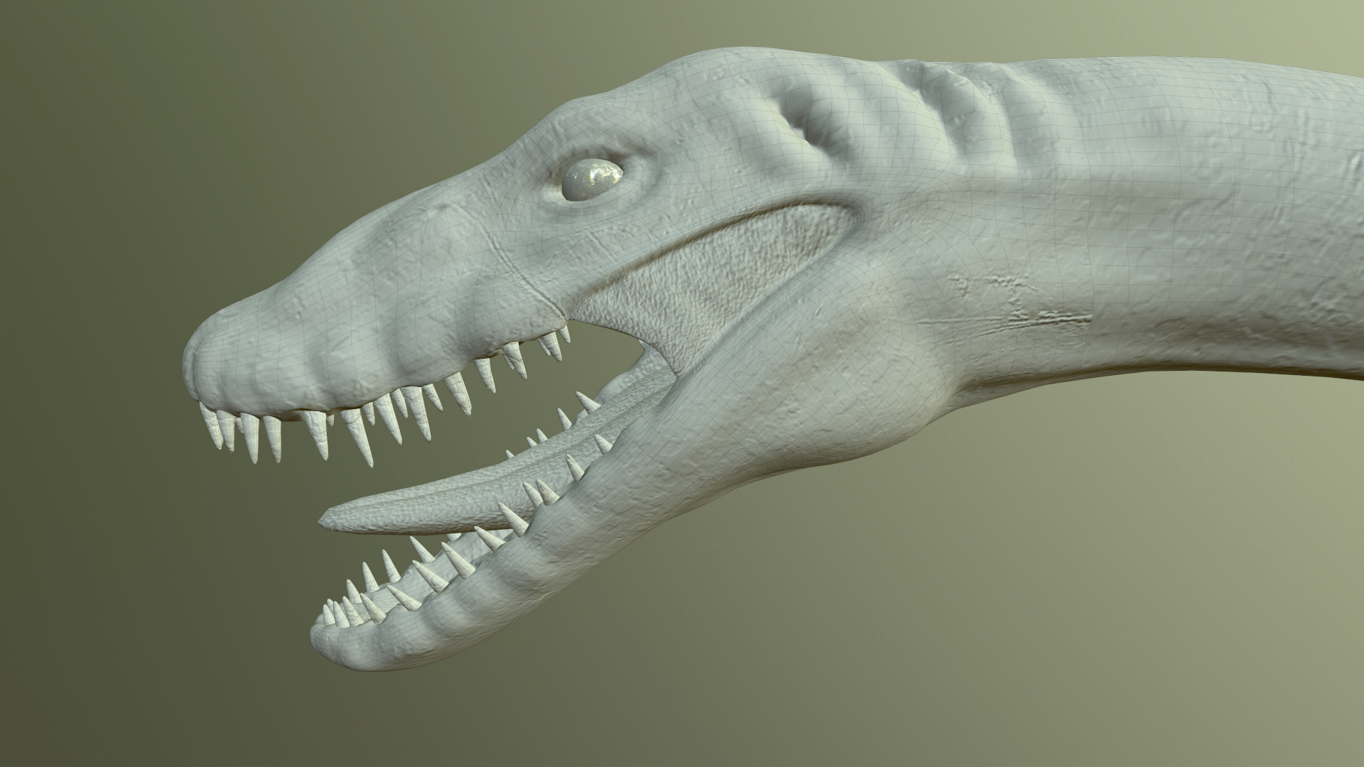 3d model elasmosaurus platyurus