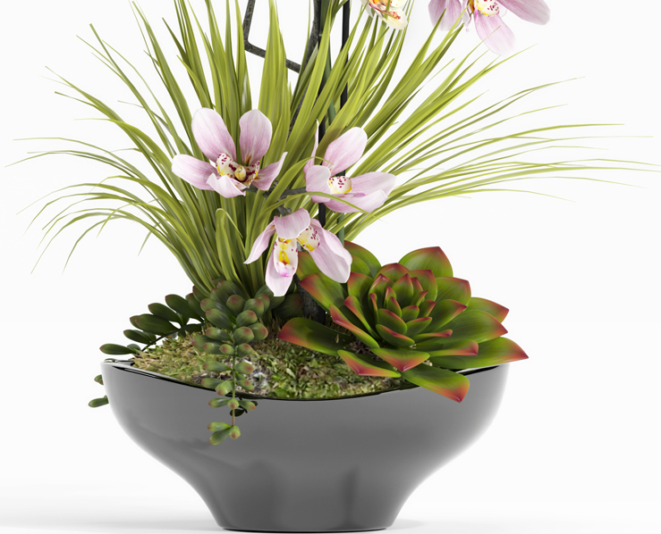 3d model flower set 21