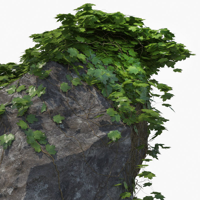 realistic ivy rock 3d x