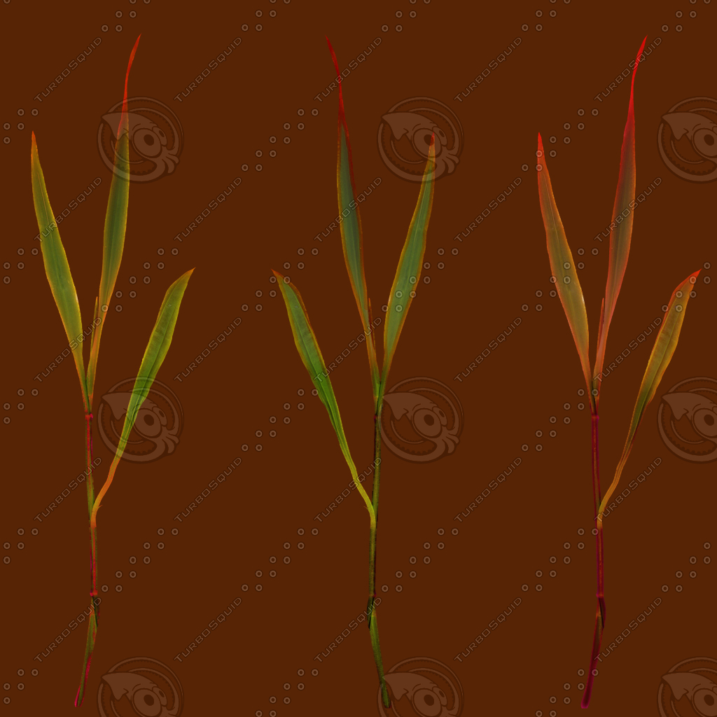 3d model grass polygons