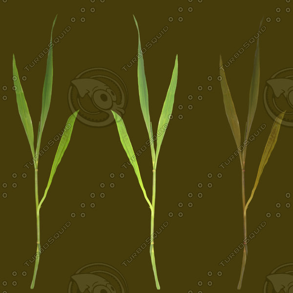 3d model grass polygons