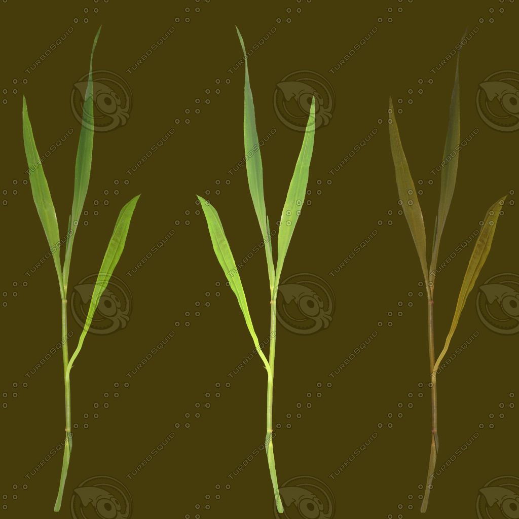 3d model grass polygons