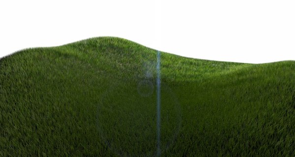 dynamic grass c4d