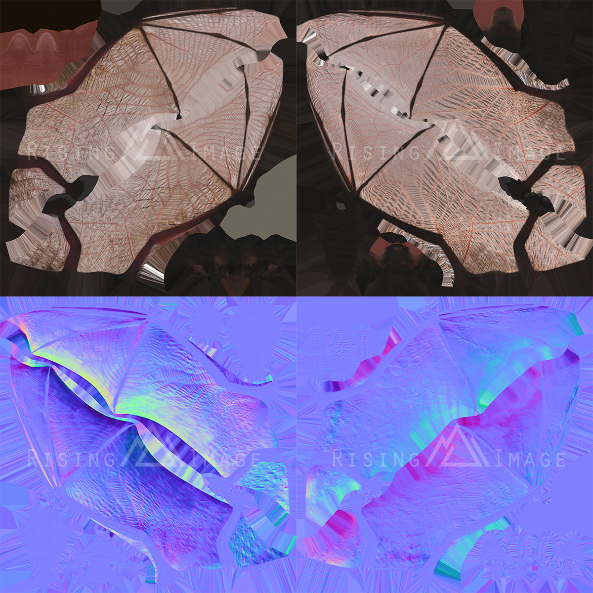 brown bat 3d ma