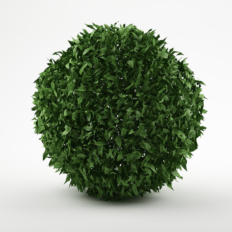 3d model bush