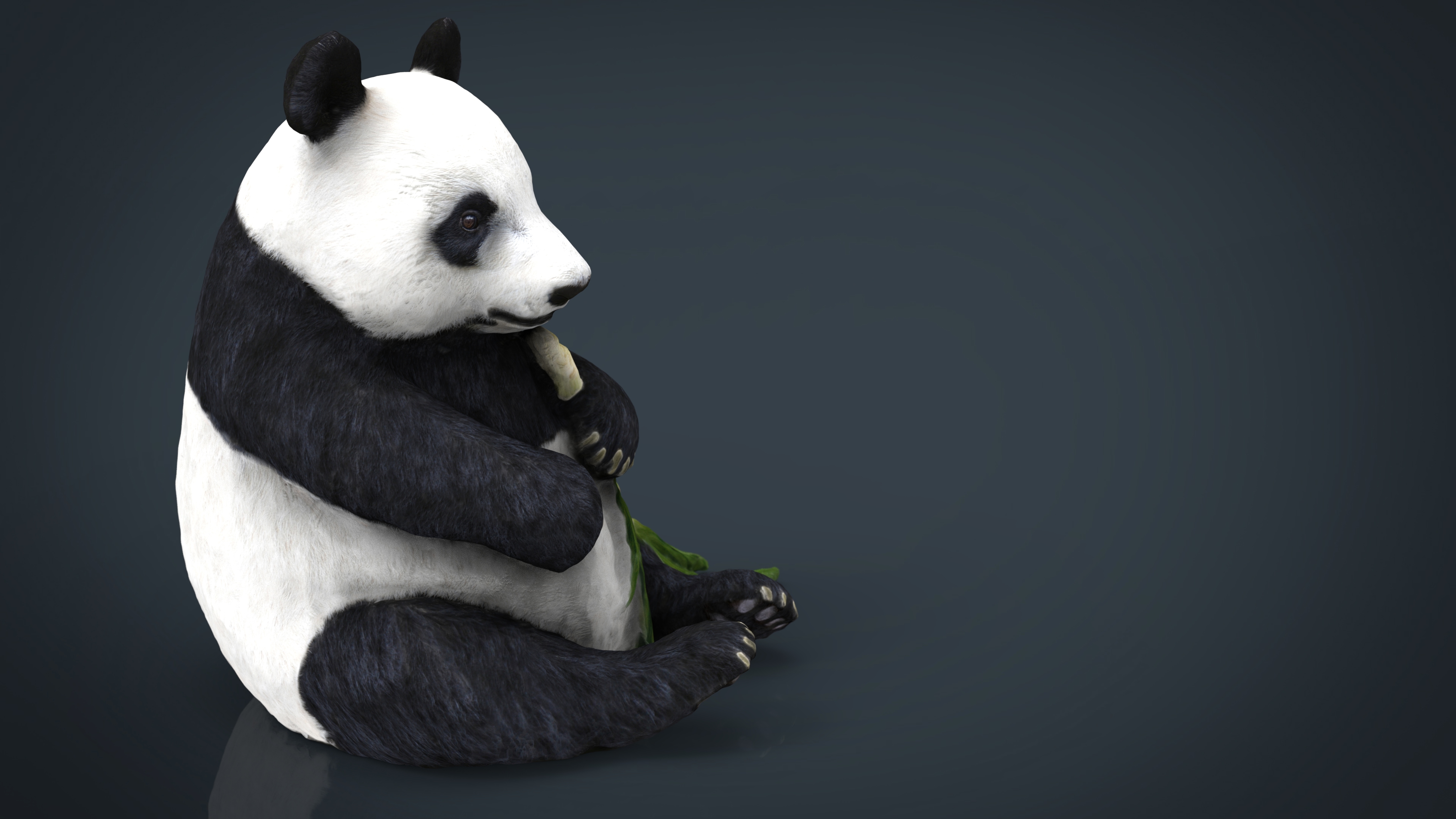 panda 3d model