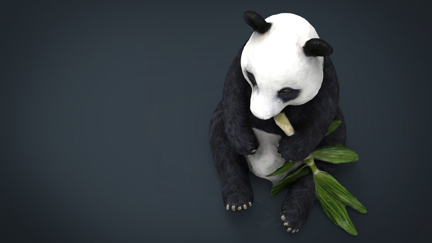 panda 3d model