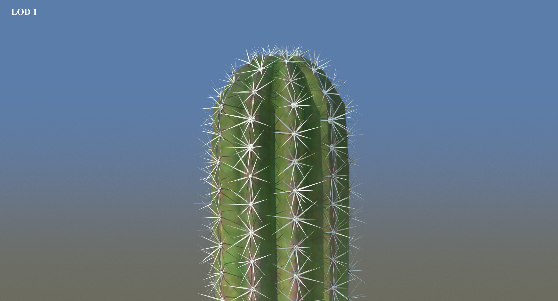 Subpilocereus repandus tropical 3D model | 1144031 | TurboSquid