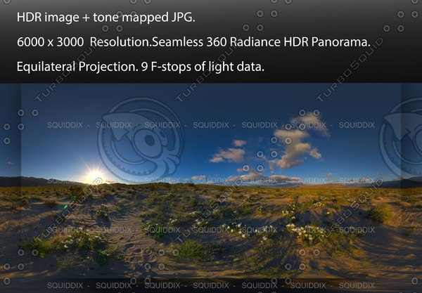 Texture 360 panorama desert